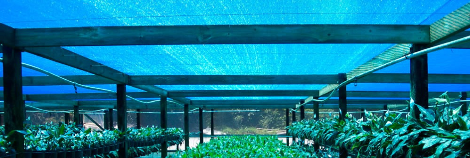 Shade Net for Net House Supplier - Azuka Ropes & Twines